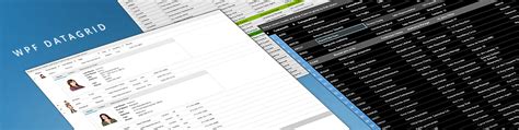 why choose the telerik wpf datagrid for your next project