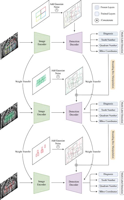 diffusion based hierarchical multi label object detection to analyze panoramic dental x rays
