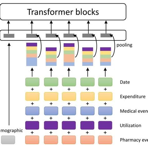 embedding layer for transformer decoder patient embedding date download scientific diagram