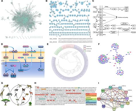 Frontiers A Guide To Conquer The Biological Network Era Using Graph