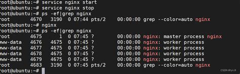 【linux】在ubuntu下部署nginx——nginx的安装与卸载 ubuntu卸载nginx csdn博客