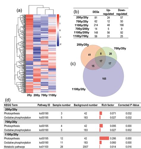 Analysis Of Differentially Expressed Genes DEGs Among The Four