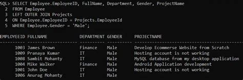 left outer join in oracle with examples dot net tutorials