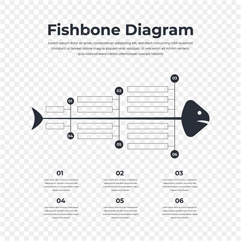 Fishbone Diagram Vector PNG Images Fishbone Diagram Infographic Vector
