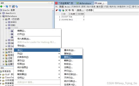 学习oracle数据库并对数据进行查询，插入等操作（四） oracle 查询插入 csdn博客