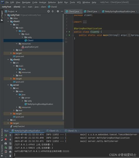netty学习（3） springboot整合netty实现多个客户端与服务器通信 springboot netty客户端 csdn博客