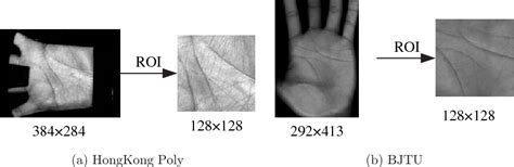 figure 1 from mean and standard deviation as features for palmprint recognition based on gabor