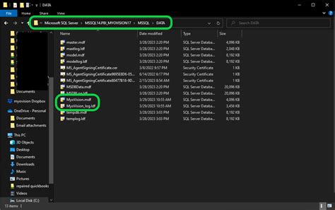 SQL Error Code 20 Database Not Attached MyoVision Technical Support