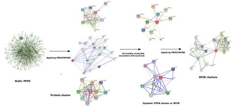 figure 1 from protein complex detection in ppi network by identifying mutually exclusive protein