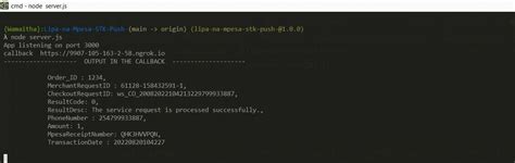 how to integrate the mpesa stk push api in node js a step by step gui