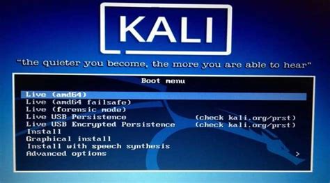 how to install kali linux on usb and boot computer from usb