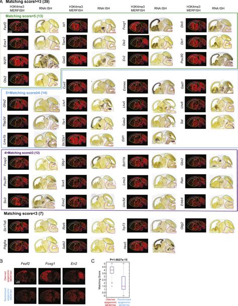 Spatially Resolved Epigenomic Profiling Of Single Cells In Complex