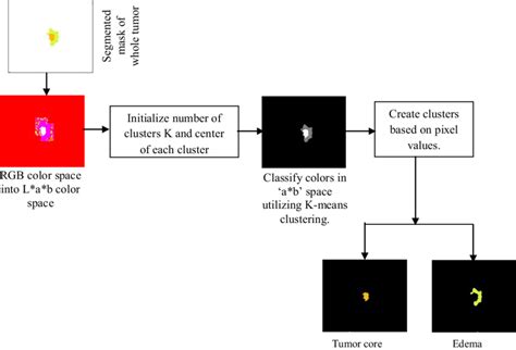 flow chart for color image segmentation using k means clustering download scientific diagram