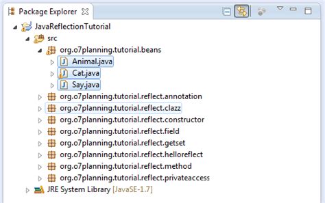 Java Reflection Tutorial With Examples