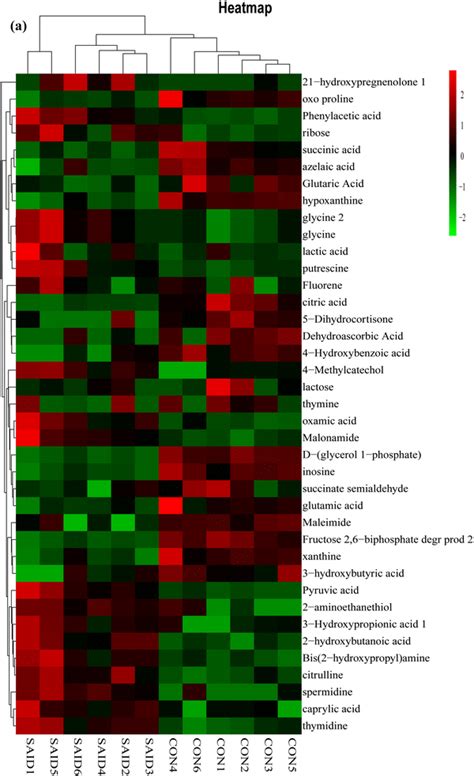 Hierarchical Clustering Analysis HCA And Heat Maps For Different