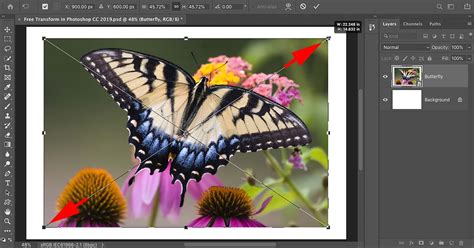 Transformación libre en Photoshop nuevas funciones y cambios