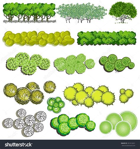 Top View Tree Vector At Vectorified Collection Of Top View Tree