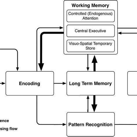 overview of human cognition based on a dual process framework for download scientific diagram