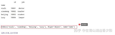 Python之pandas的常用技能【索引的增、删、改、查】 知乎