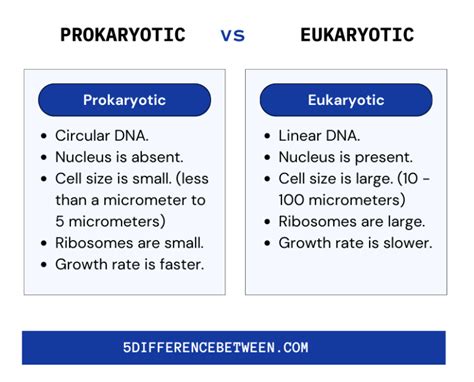 5 Difference Between Prokaryotic And Eukaryotic