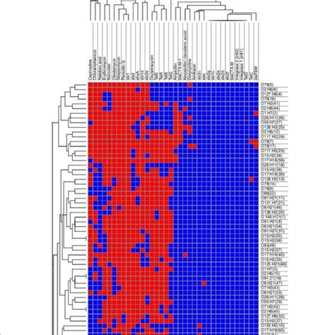 Heatmap And Hierarchical Clustering Of E Coli Isolates To 5 Clusters