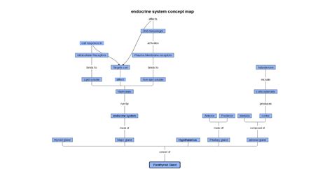 Endocrine System Concept Map Edrawmax Editable Template Cloud Hot Girl