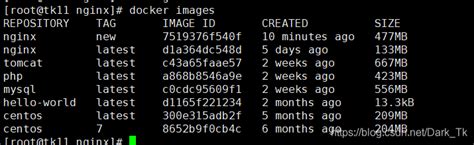 docker系列 网络模式 dockerfile 参数讲解 详细说明 dockerfile net csdn博客