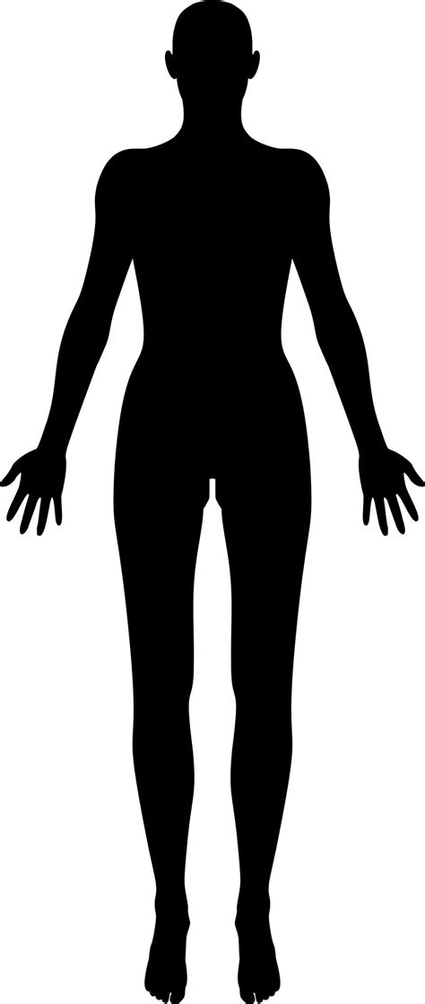Female Body Silhouette Outline At Getdrawings Free Download