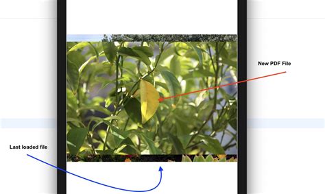 swift ios how to clear pdfview stack overflow