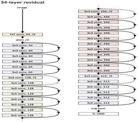 architecture of resnet50 model download scientific di