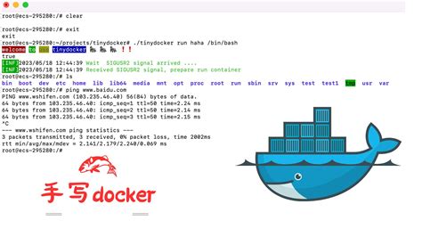 500行代码手写docker开篇 goland远程编译环境配置 docker 蓝胖子的编程梦 infoq写作社区
