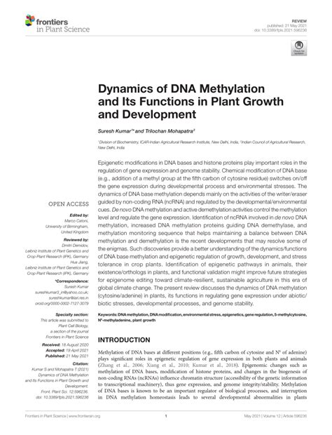 PDF Dynamics Of DNA Methylation And Its Functions In Plant Growth And