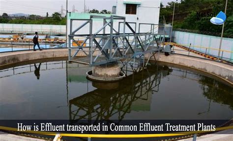 How Is Effluent Transported In Common Effluent Treatment Plants