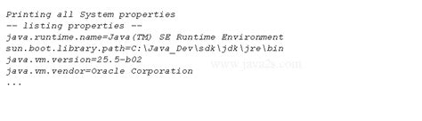 get system properties using system class java native os