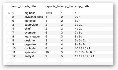 SSIS SSRS SQL Server Information Introducing The MySQL Common Table