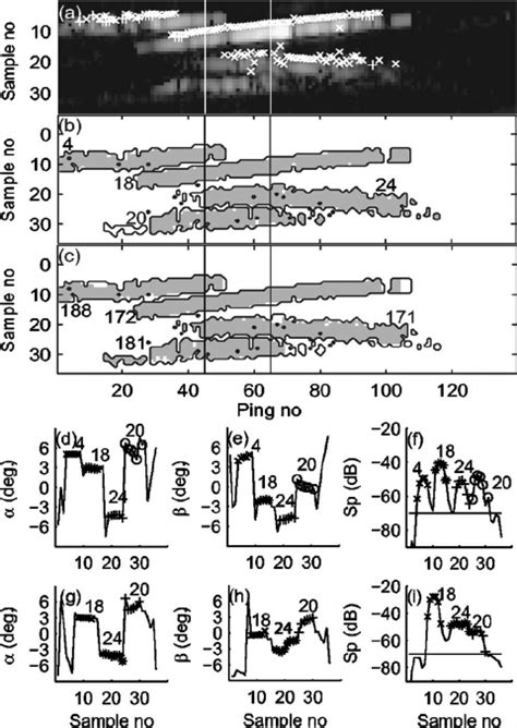 successful tracking of closely spaced targets ͑ a ͒ the intensity download scientific diagram