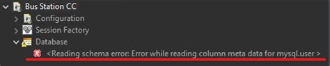 Java Hibernate Reading Schema Error Error While Reading Column
