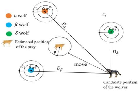 flow chart of the improved gray wolf optimization alg