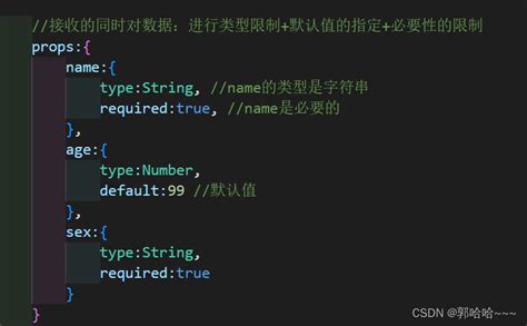 vue props配置项 props指定类型作用 csdn博客