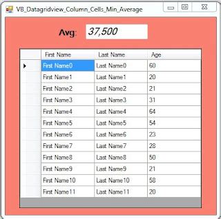 VB NET How To Get The DataGridView Column Average Value Using VB NET