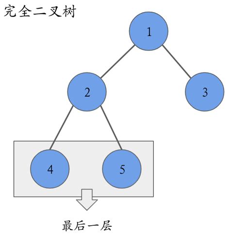 acm金牌选手讲解leetcode算法《二叉树》 知乎