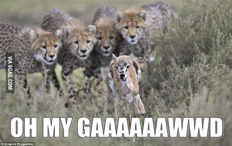 Ohh Gawd Run 9GAG