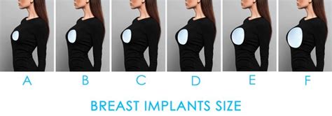 298 Gambar Foto Stok Objek 3d And Vektor Comparing Breasts Shutterstock