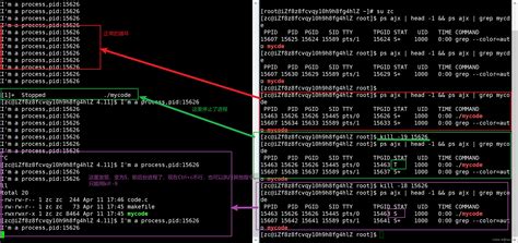 linux：进程概念（三 详解进程：进程状态、优先级、进程切换与调度）