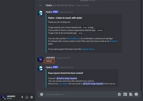 how to add and use hydra bot in discord server music bot setup