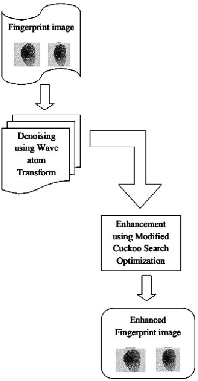 schematic representation of proposed fingerprint enhancement technique download scientific