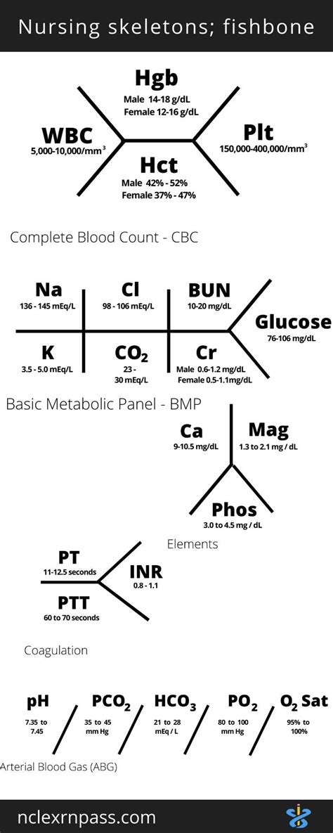 Lab Skeleton Diagram