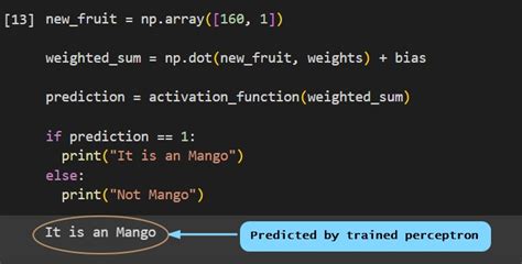 How To Build Perceptron In Python Python Guides