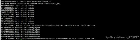 docker 拉去pull、推送push 镜像到私人仓库 docker pull csdn博客