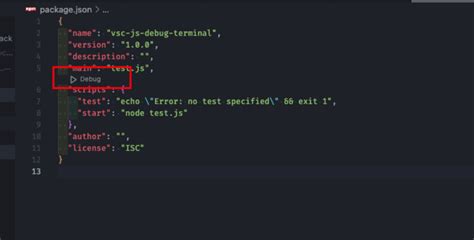 node 调试利器，前端、node 开发必备 vscode js debug terminal heyfe